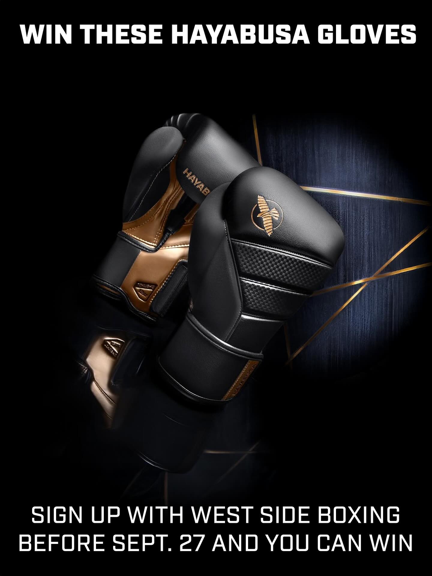 Kingston West Side Boxing & Fitness Club | West Kingston Boxing Classes | Boxing for Beginners ...